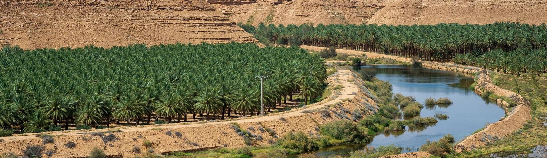 Sustainable farming